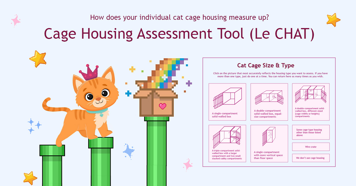 Cat Housing Assessment Tool (Le CHAT)
